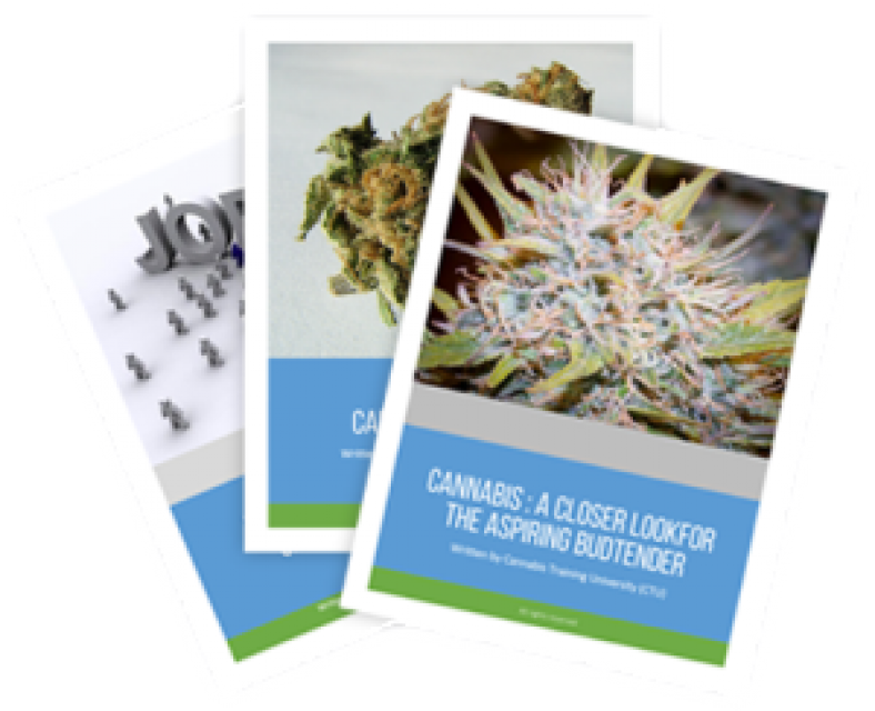 Marijuana Jobs: How to be a Bud Tender – ohio cannabis work force news